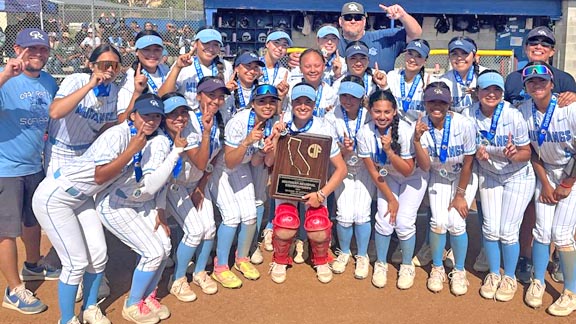 FINAL State Softball Ranks (Divisions)